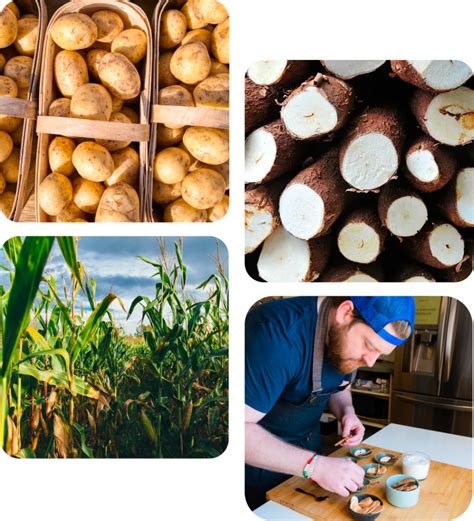 Ingredients Non Dairy Ice Cream Eclipse Foods