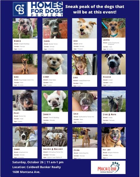 Devon Raymond Santa Monica Ca