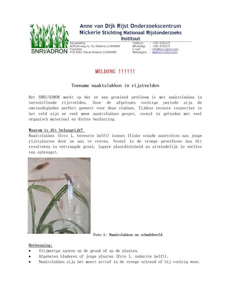 Anne Van Anne Van Dijk Rijst Onderzoekscentrum Nickerie