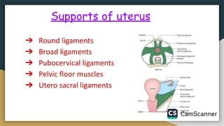 Displacement Of Uterus 2pdf Displacement Of Uterus Pdf