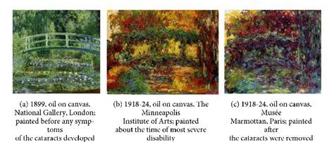 Figure 1 From A Critique Of Functionalist Definitions Of Art Semantic