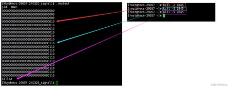 Linux——信号的保存与处理 Csdn博客