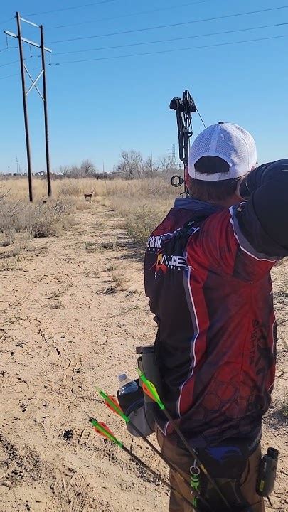 3d Shoot Archery Arrows Openclass Target Steel Steelarchery Youtube