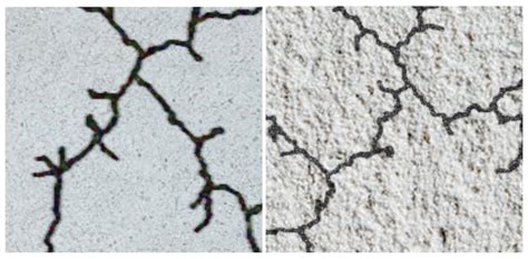 Lessons Learned From Training A Segmentation Model On Synthetic Data Supervisely