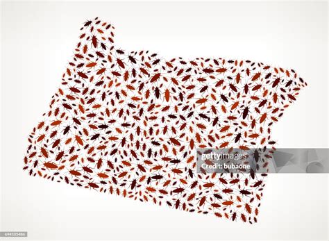 Oregon Cockroach Pest Control Vector Icons Background High Res Vector Graphic Getty Images