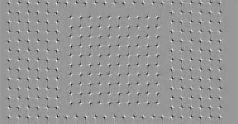 Movement Movement Imgur