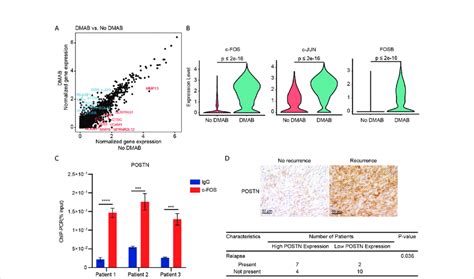 C Fos Mediated Postn Expression Is Associated With The Relapse Of Gctb