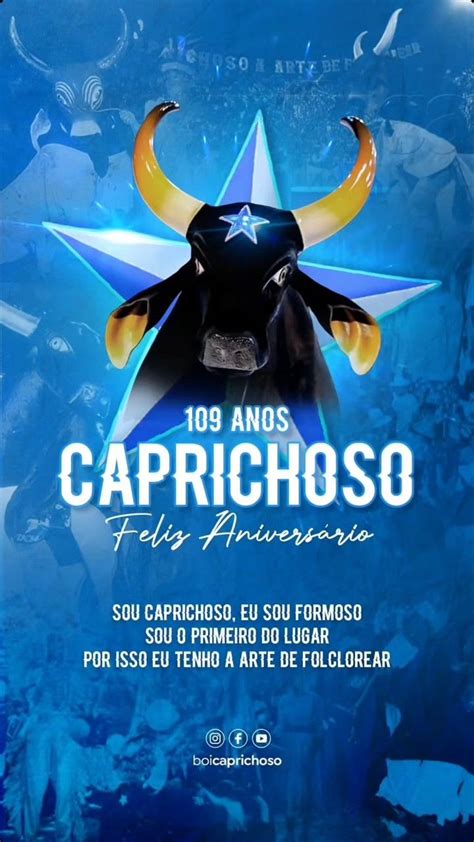 Pin De Hellen Lira Em Caprichoso Boi Garantido E Caprichoso