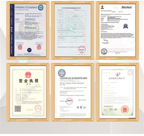 Sg 803 Pneumatic Ribbon Date Code Printer Drip Coffee Bag Pyramid