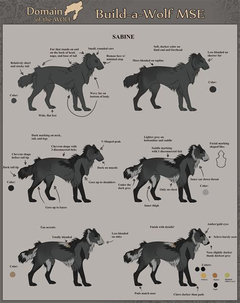 [dotw] Sabine Build A Wolf May Mse By Accicularis On Deviantart