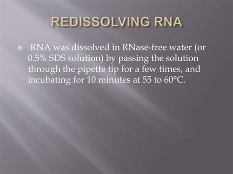 Rna Isolation And Cdna Preparation Pptx