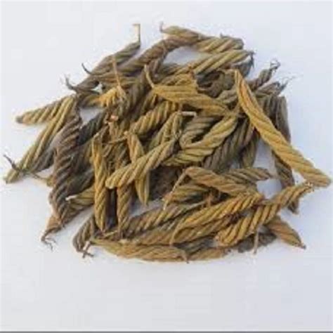 Brown Helicteres Isora Marod Phali Packaging Type Bag Packaging Size 50 Kg At Rs 30 Kg In