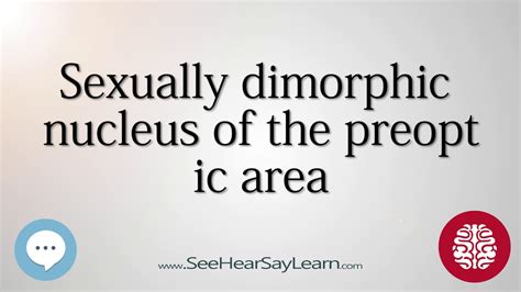Sexually Dimorphic Nucleus Of The Preoptic Area Anatomy Of The Brain Seehearsaylearn 🔊 Youtube