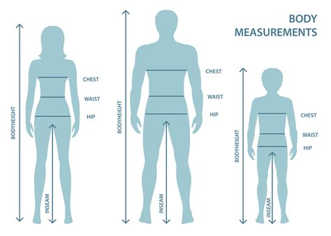 Female Body Outline Measurements