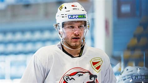 David Bartos érkezett A Macikhoz