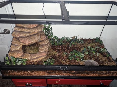 my first cage r ballpython