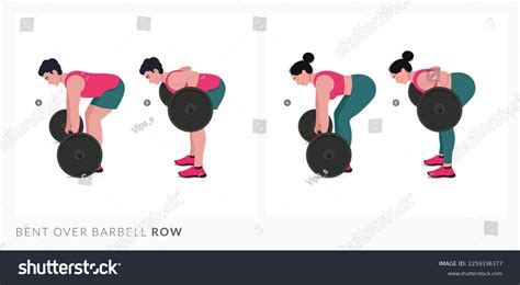 Bent Over Barbell Row Mais De 57 Ilustrações E Desenhos Stock
