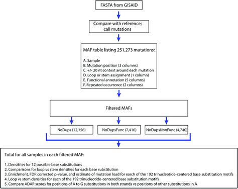 Analysis Workflow Maf Mutation Annotation Format Table Each Filtered Download Scientific