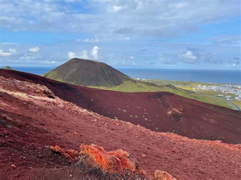 Forestry In Iceland Mainly Planting So Far Nordicwoodjournal