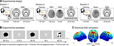 Tms Over The Pre Sma Enhances Semantic Cognition Via Remote Network