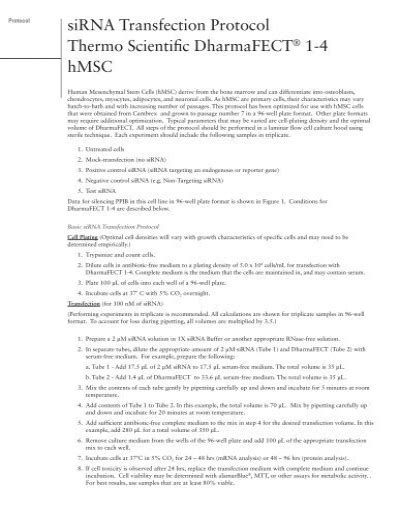 Sirna Transfection Protocol Thermo Scientific Dharmafect® 1 4