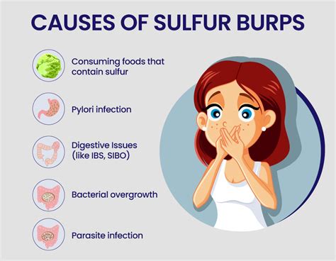 Excessive Burping Discover Causes And Treatment Options