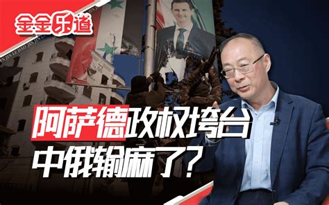 阿萨德政府垮台， 大殖子”笑喷了，精神不正常 金灿荣教授 金灿荣教授 哔哩哔哩视频