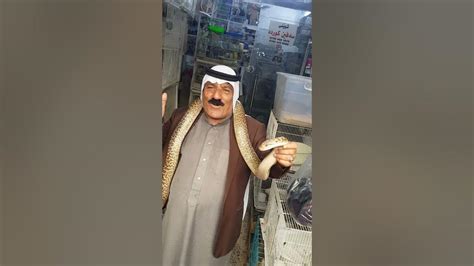 ابو زوبع مع أفعى كوبره أكبر حيه بلعالم Youtube