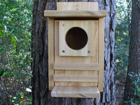 Squirrel Box Squirrel House Nesting Box Large Squirrel House Squirrel Nesting Box Squirrel