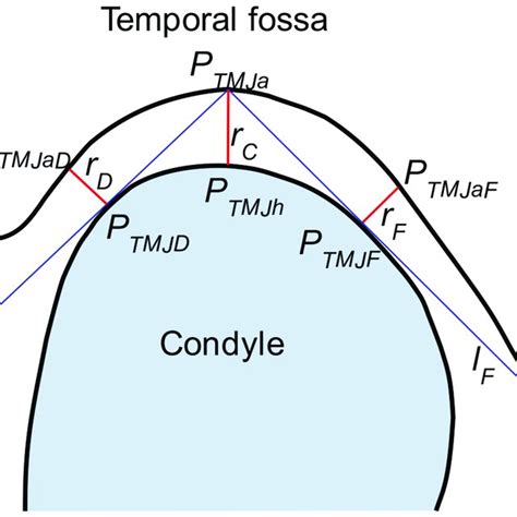 the determination of tmj parameters workflow download scientific diagram