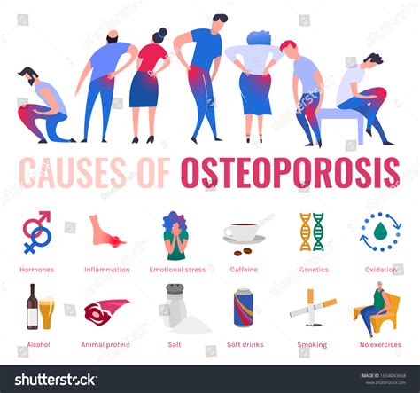 Causes Osteoporosis Bone Loss Medical Infographic Stock Vector Royalty