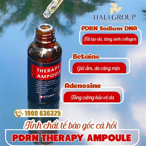 Serum Tế Bào Gốc Phục Hồi Kyunglab Pdrn Therapy Ampoule