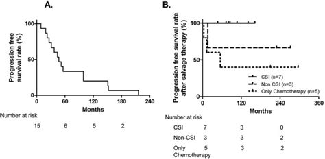 Salvage Craniospinal Irradiation For Recurrent Intracranial Germinoma A Single Institution