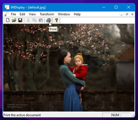 How I Can Print My Pictures Using The Command Line ImageMagick ImageMagick Discussion