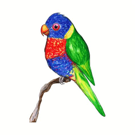 Cute Rainbow Lorikeet Parrot Crewneck Sweatshirt Teepublic