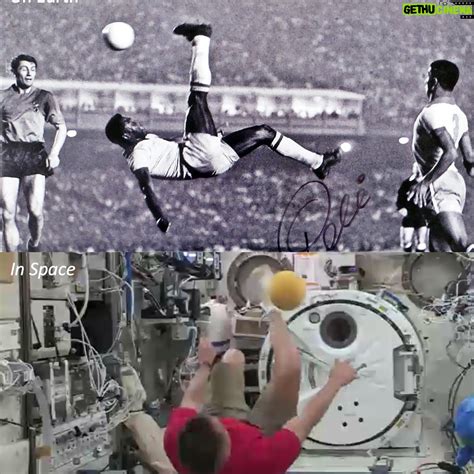 Chris Cassidy Wiki Biography Age Gallery Spouse And More