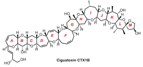 Total Synthesis Of Ciguatoxin By Isobe