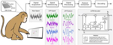 schematic overview of lfp based bmi system using lstm decoder with