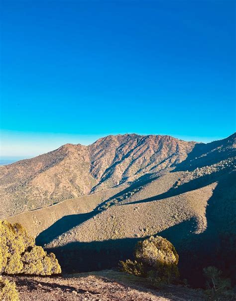 Mount Diablo Summit Hike Mitchell Creek To Diablo Summit