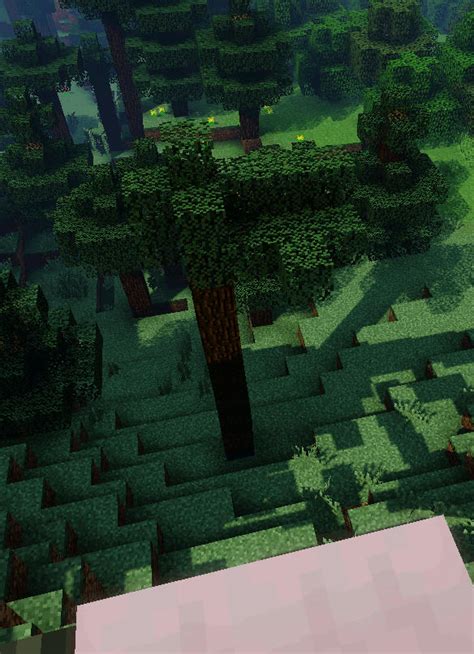 My Trees Are Acting Suspicious Rminecraft