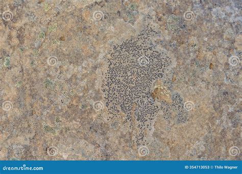 Close Up Of A Natural Texture Pattern And Shape Of A Slope Structure Minerals Geology Colors