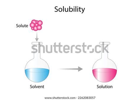 Solutions Solubility Homogeneous Mixture Solute Solvent Stock Vector