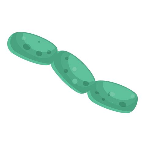 Green Streptococcus Bacteria Forming A Chain Through Cell Division 49521995 Vector Art At Vecteezy