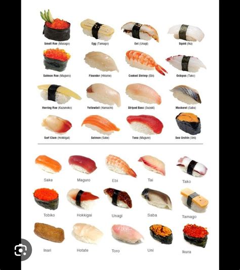 Japanese Sushi Infographics Artofit