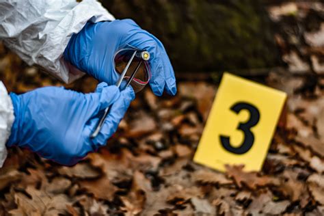 How To Become A Forensic Ballistics Expert In 5 Steps