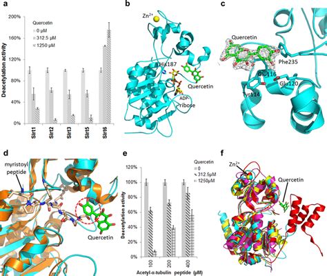 Effect Of Quercetin On Sirtuin Isoforms And Structure Of Sirt2 In