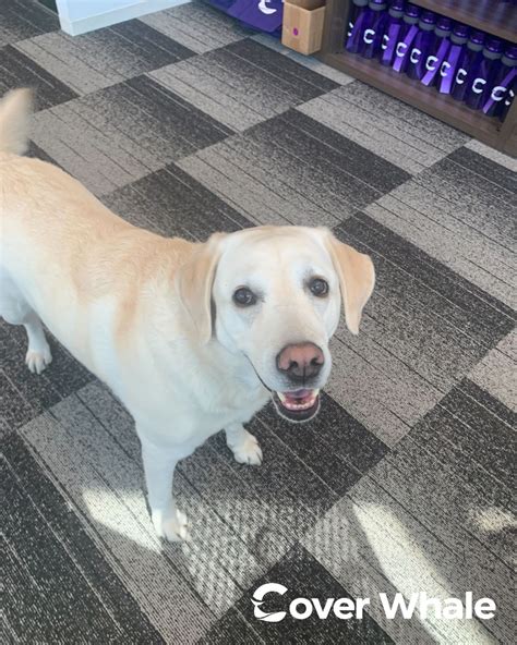 Daniel Abrahamsen Posted On Linkedin