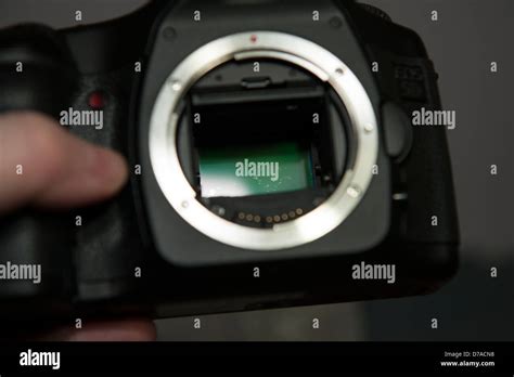 Camera Sensor Scratch At Agnes Hendricks Blog