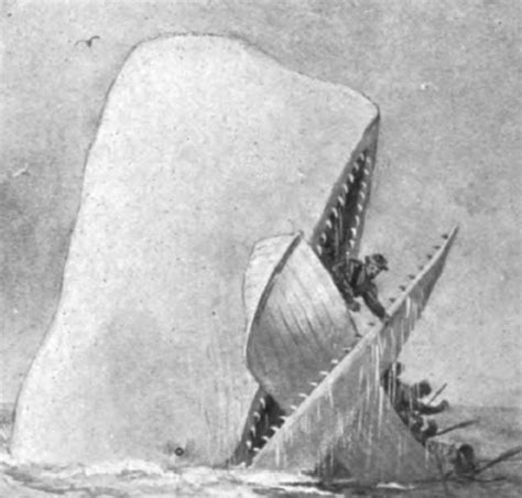Moby Dick The Book Lovers Wiki Fandom