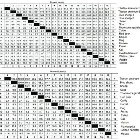Homology Matrices Of The Prnp Gene Sequences And Prp Amino Acid